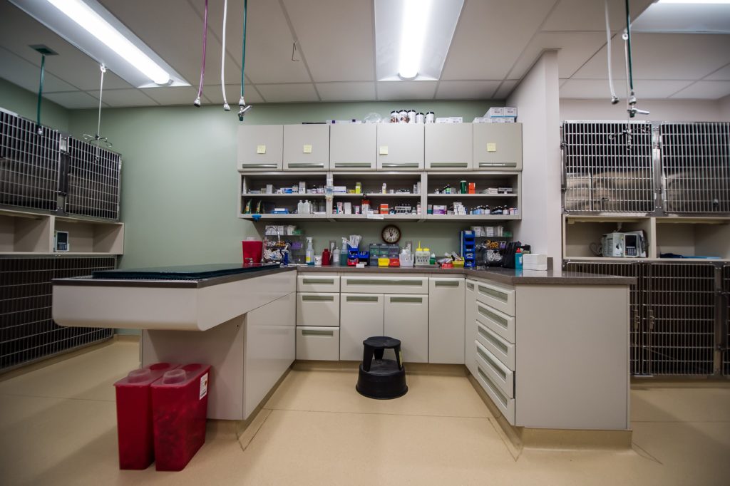 Anesthesiology - Friendship Hospital for Animals