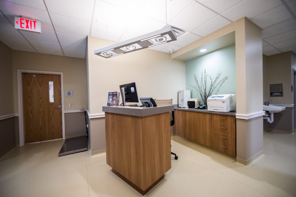 Oncology - Friendship Hospital for Animals