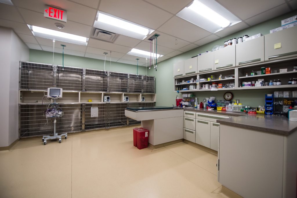 Emergency & Critical Care - Friendship Hospital for Animals