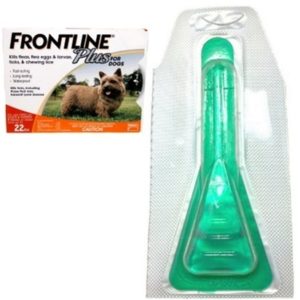 Fleas & Ticks - Friendship Hospital for Animals