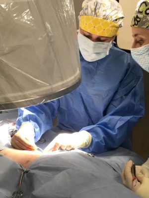 Permanent Pacemaker Placement in Dogs - Friendship Hospital for Animals