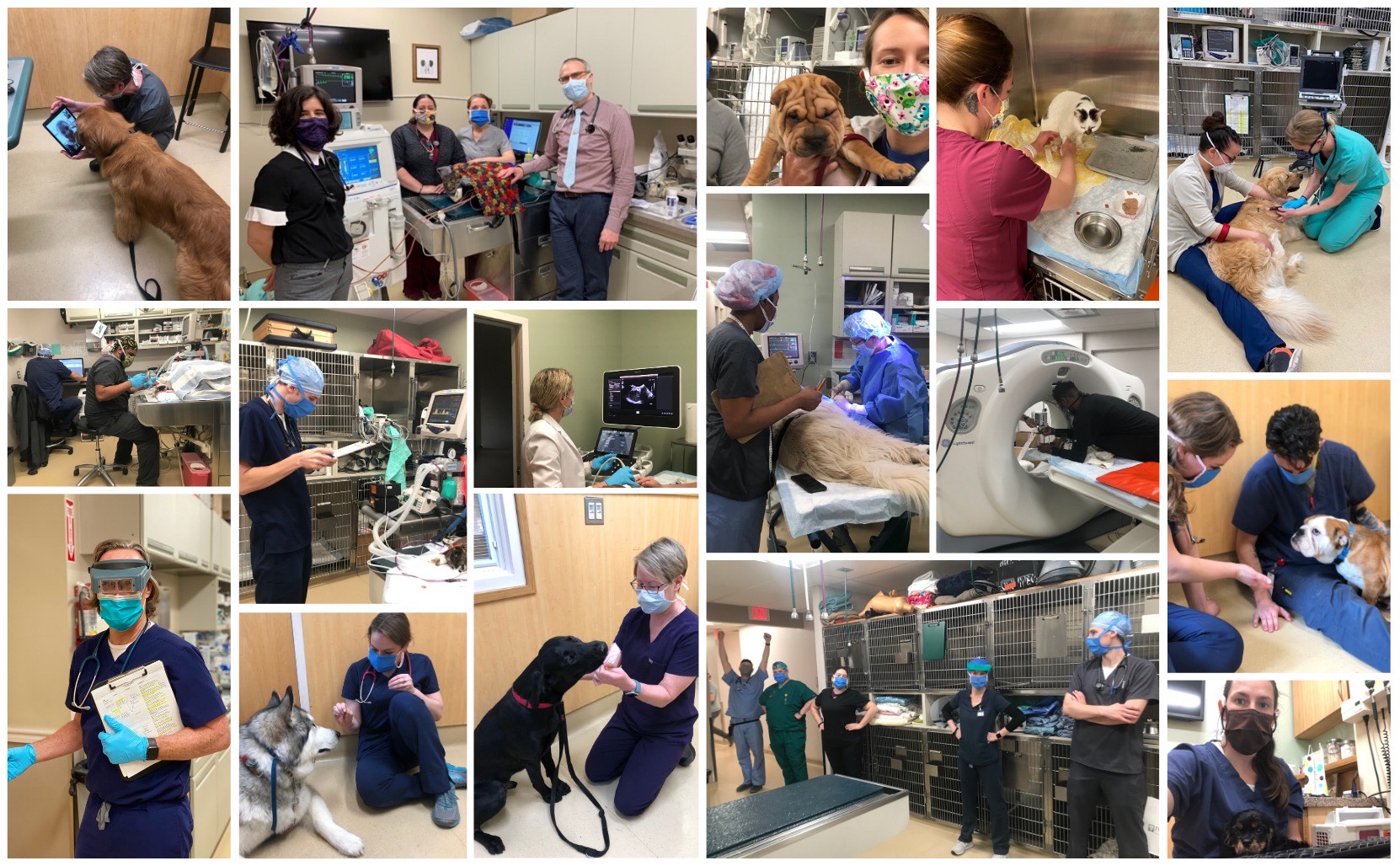 Friendship and Encore Vet Group - Friendship Hospital for Animals