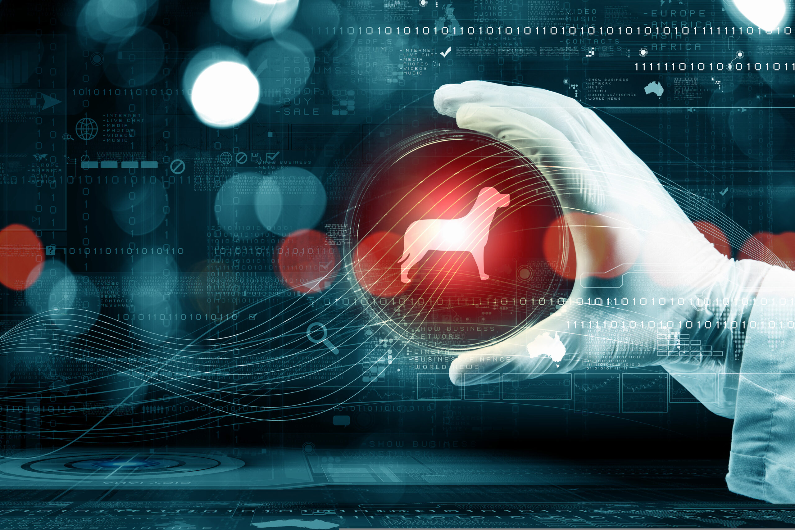 Treatment Options for Pets with Cancer - Friendship Hospital for Animals