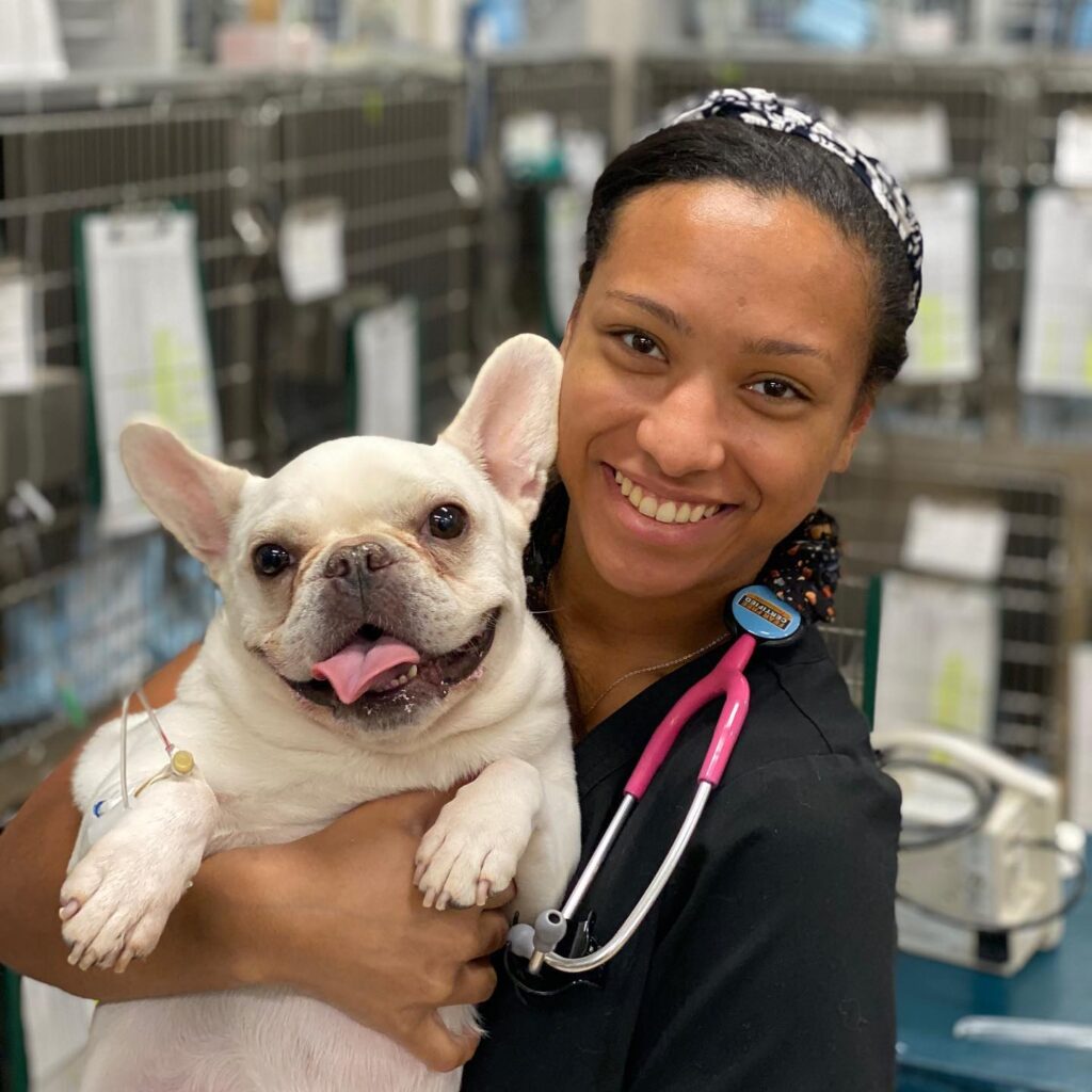 Veterinary Internships/Externships - Friendship Hospital for Animals